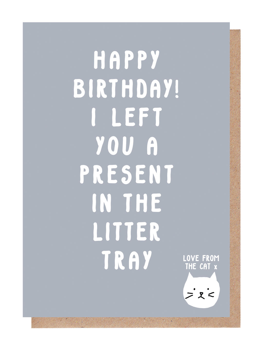 Present In The Litter Tray Birthday Card From The Cat – Big Fat Duck